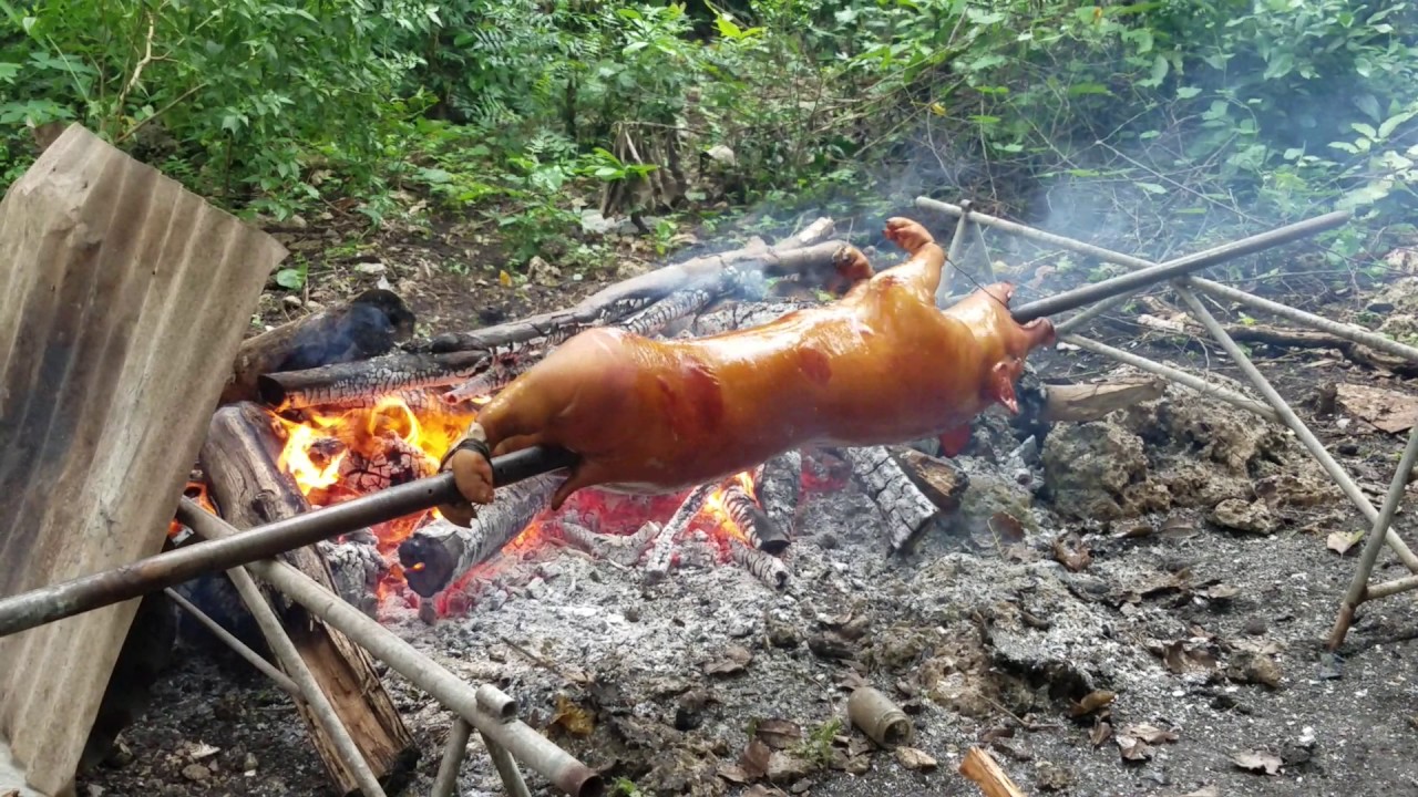 Best Lechon Bohol Backyard Ducks, Pigs and Chickens Lechon - YouTube