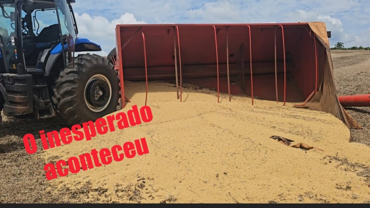 Dia de colheita com perengue - YouTube