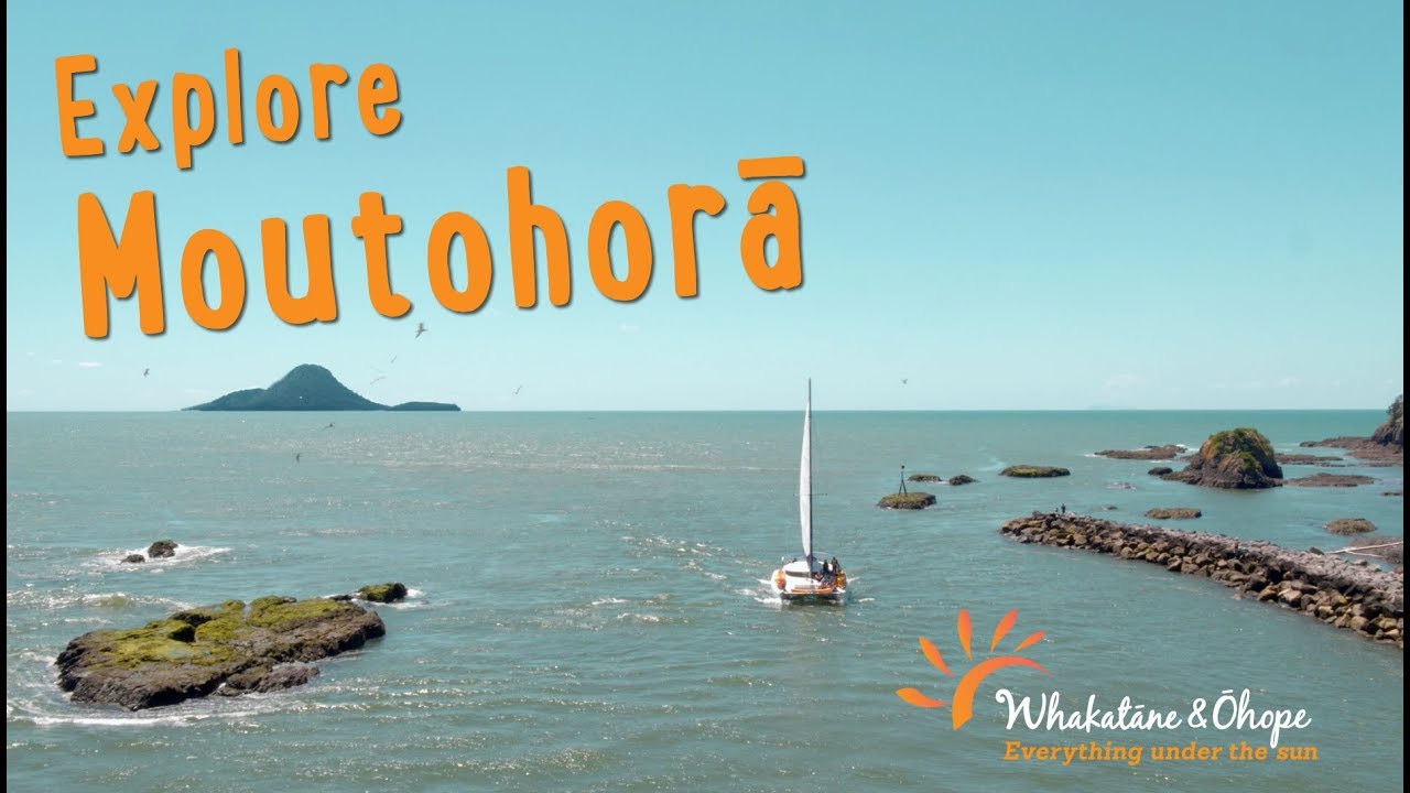 Amazing day out exploring Moutohorā (Whale Island), New Zealand - YouTube