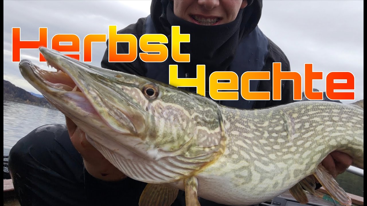 Schleppen im Herbst | Tipps und Tricks | PikeBuddies 4k - YouTube