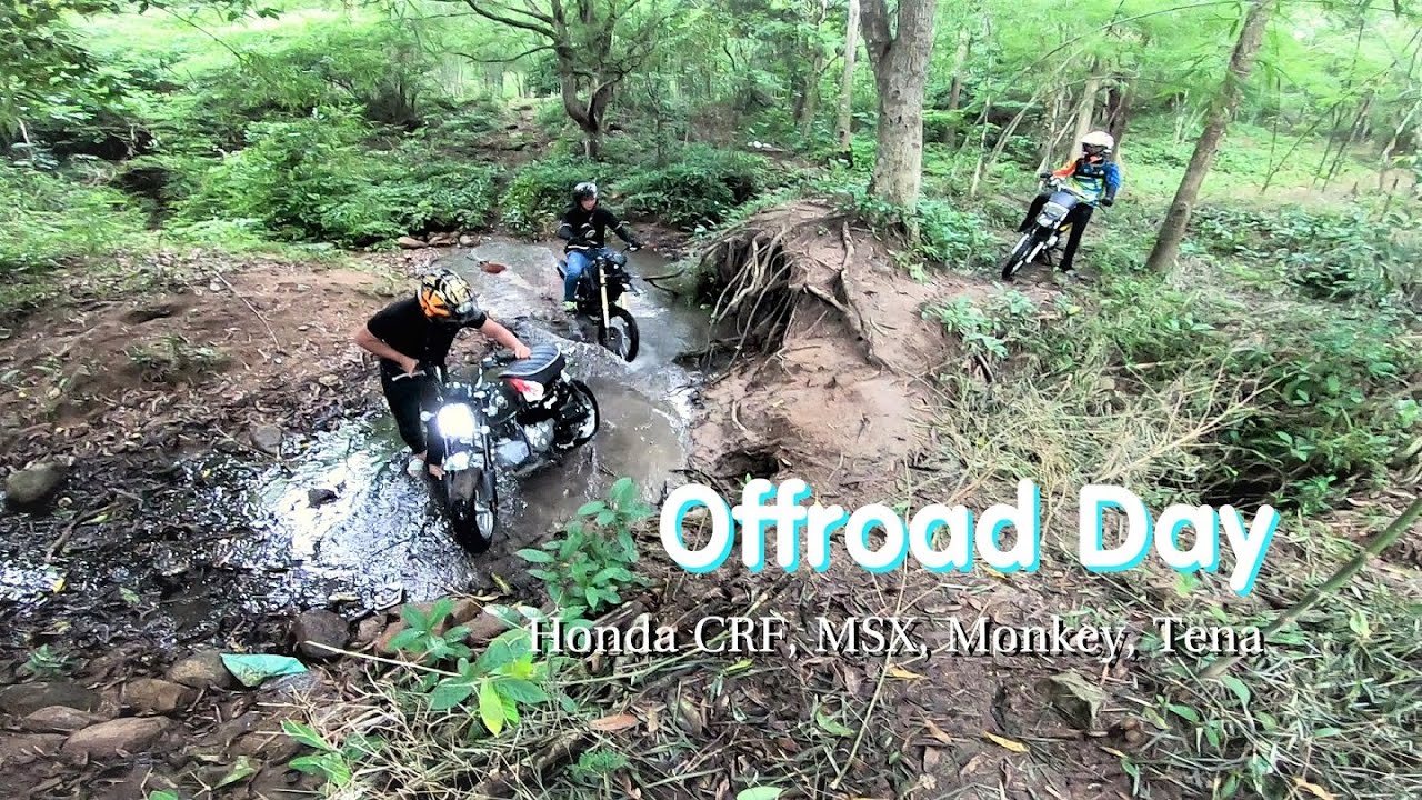 Offroad day / Honda crf150, msx125, Tena110, Monkey125 offroad ...