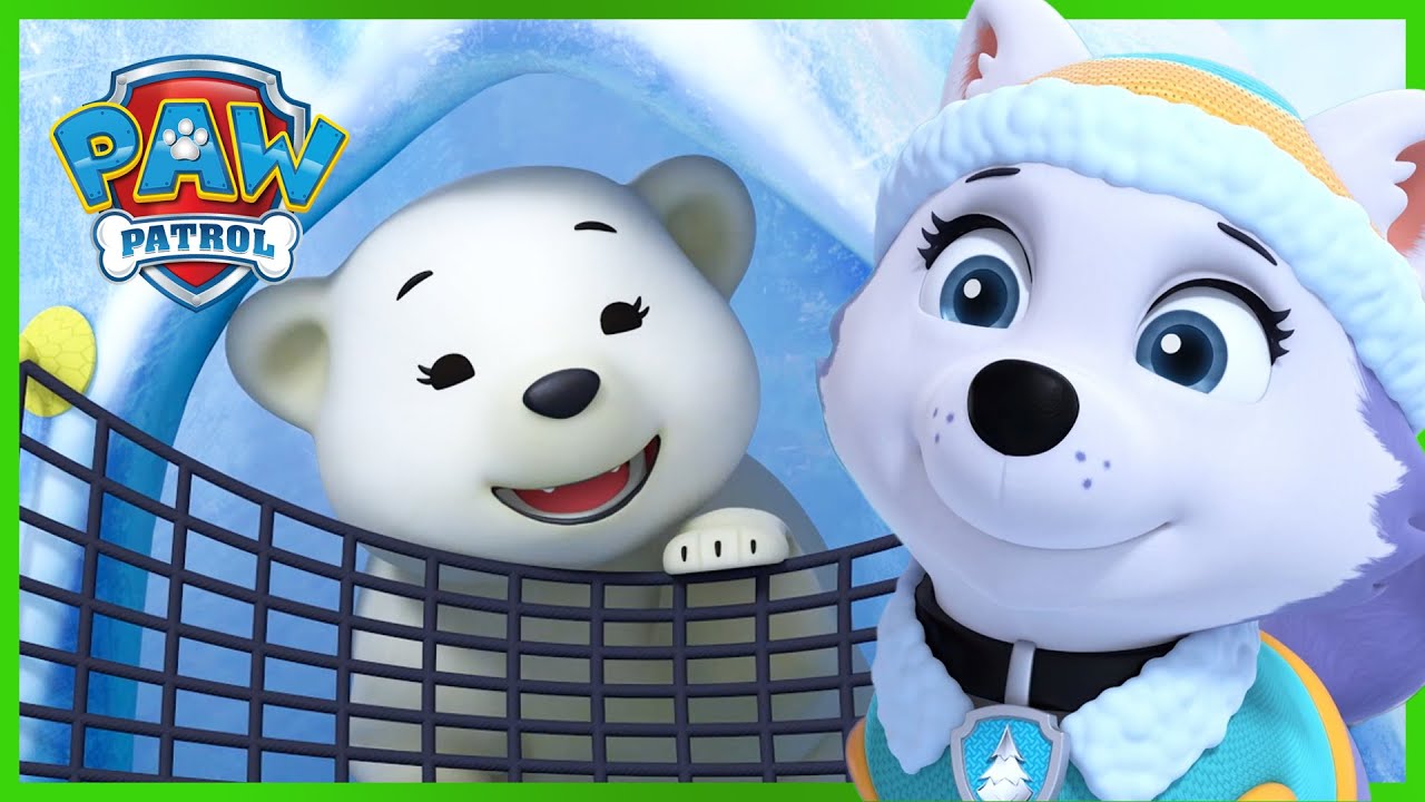 Pups Bring a Polar Bear Cub Back Home - PAW Patrol Episode - Cartoons ...