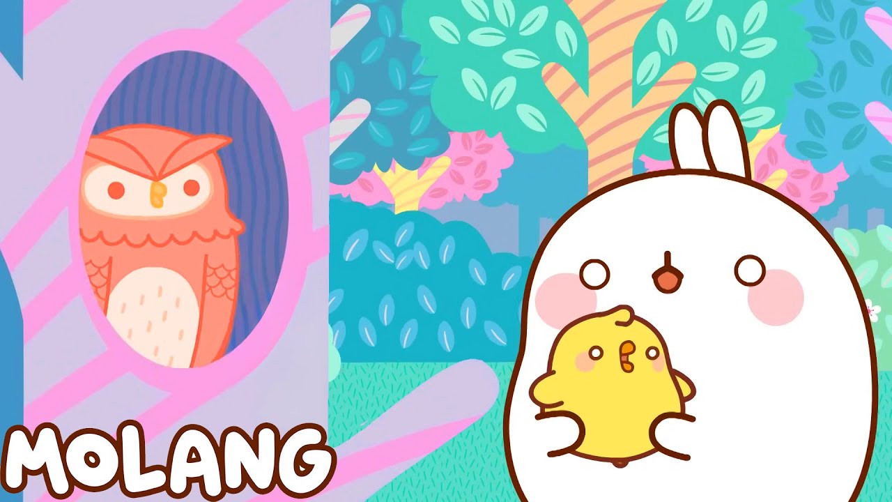 Molang & Piu Piu: Aventura na Floresta | Desenhos animados engraçados ...