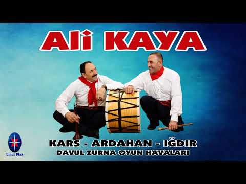 Ali Kaya - Sarı Seylan / Davul Zurna İle Düğün Ve Oyun Havaları (KARS - ARDAHAN - IĞDIR)