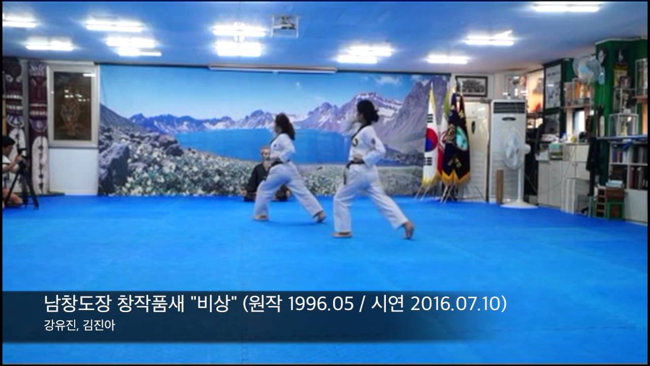 비상shin chul Kang Taekwondo WTTUhq Namchang dojang - YouTube