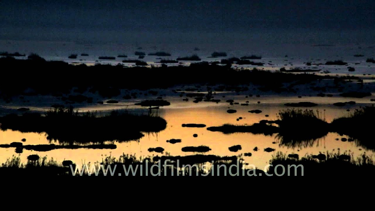 Sunset tapestry over phumdi islands of Loktak Lake, Manipur - YouTube
