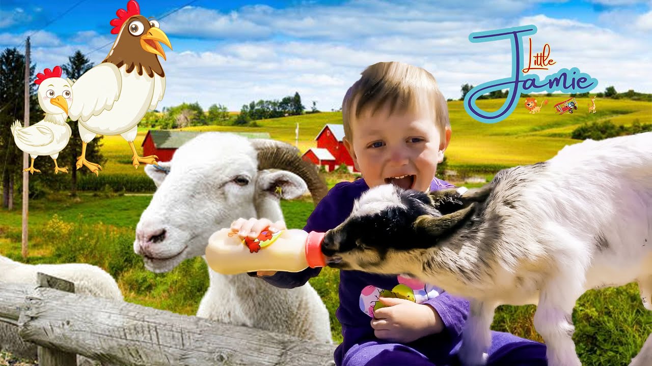 Best Animal Encounters With Little Jamie | Awesome Stories For Kids ...