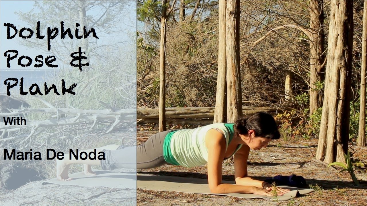Yoga Basics: Dolphin Pose & Plank - YouTube