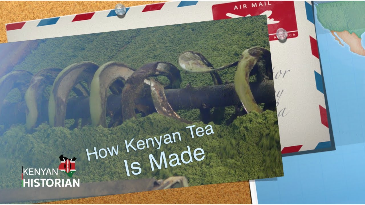 THE ART AND SCIENCE OF MAKING TEA: amazing manufacturing process of ...