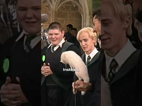How They Made Draco a Ferret in Harry Potter?! #harrypotter #harrypotterbehindthescenes