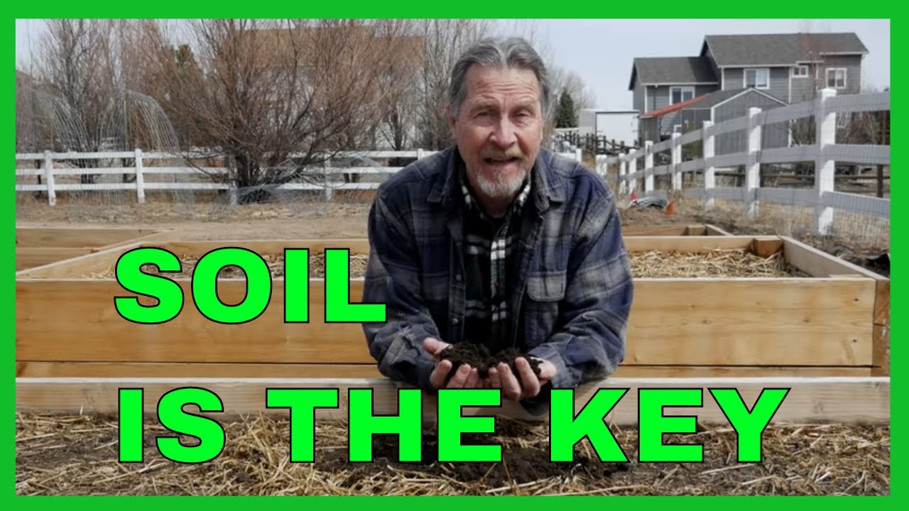 Understanding Soil (The Key to Success) - YouTube