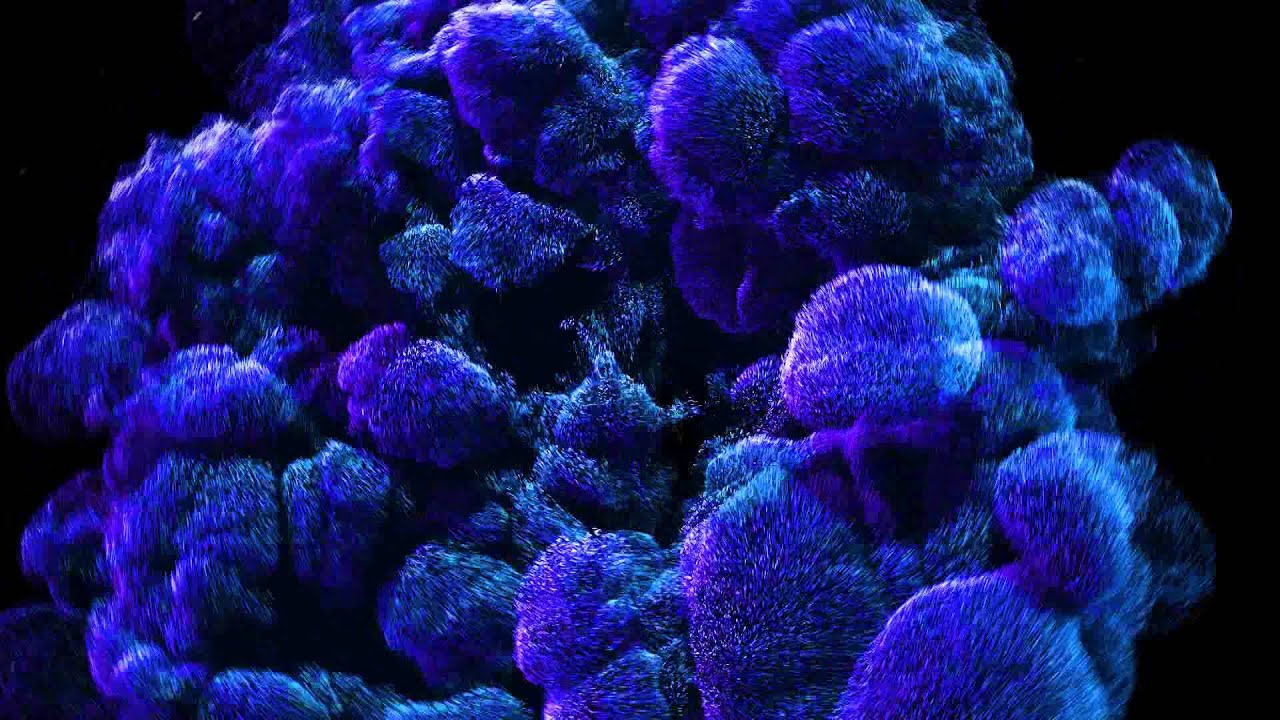 Organic Technology Showreel - YouTube