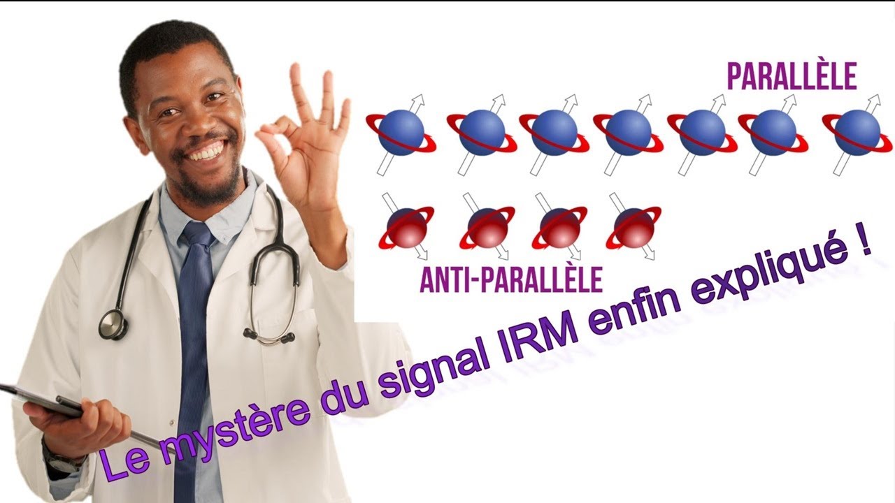 IRM : comprendre le signal IRM | Explication du fonctionnement de l’IRM ...