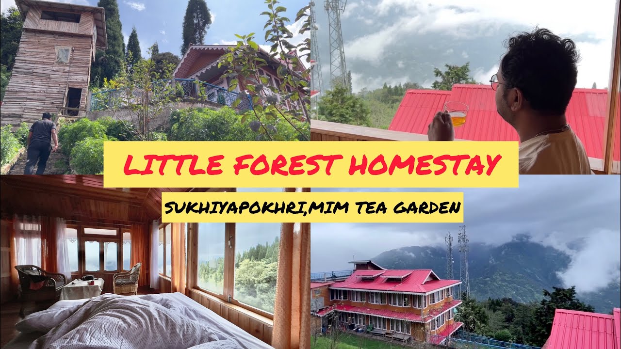 Little Forest Homestay || Best Homestay Near Darjeeling ...