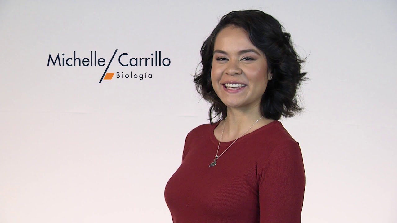 Michelle Carrillo en el Perímetro de México - YouTube