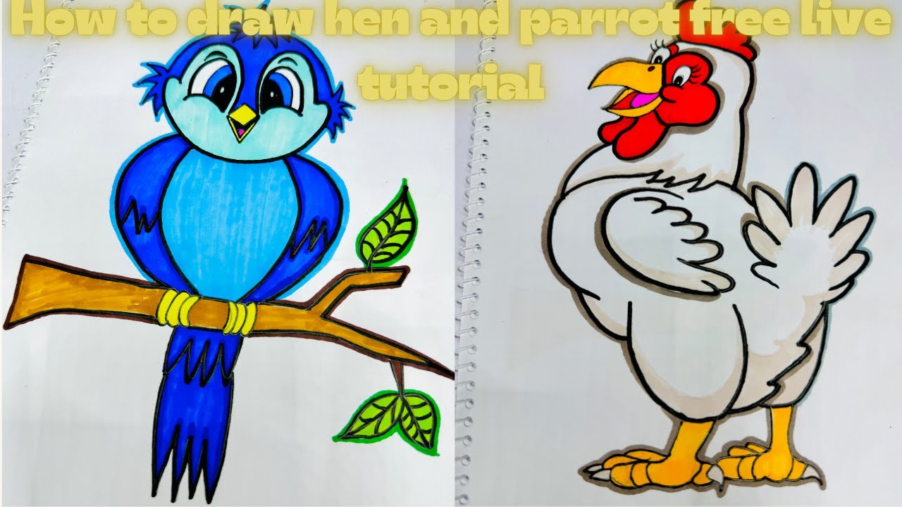 How to draw hen and parrot free live tutorial #ononnasartstudio - YouTube
