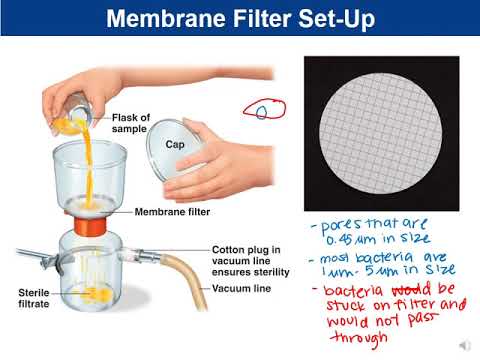 Lab 8-12 and 8-13: Water Sample Testing - YouTube