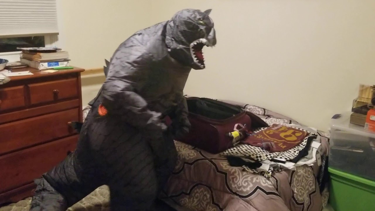 Godzilla roams the house - YouTube