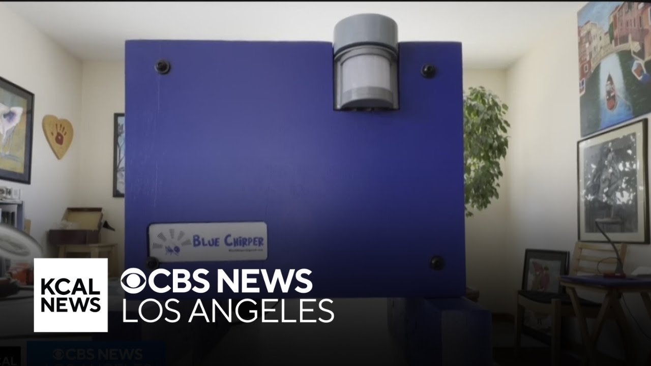 Santa Monica man invents "Blue Chirper" as a non-aggressive way to ...