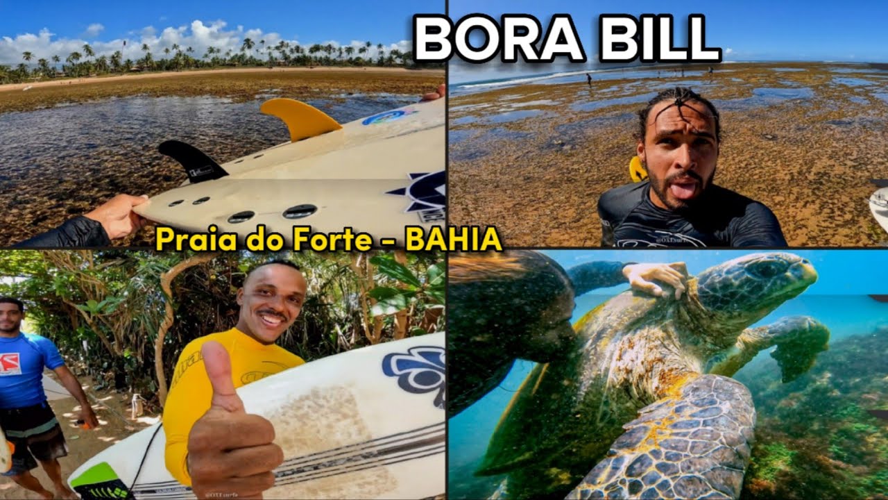 BORA BILL - Mar de Vidro, Pinaúna e Tartarugas | Surf em PRAIA DO FORTE na maré SECA - YouTube