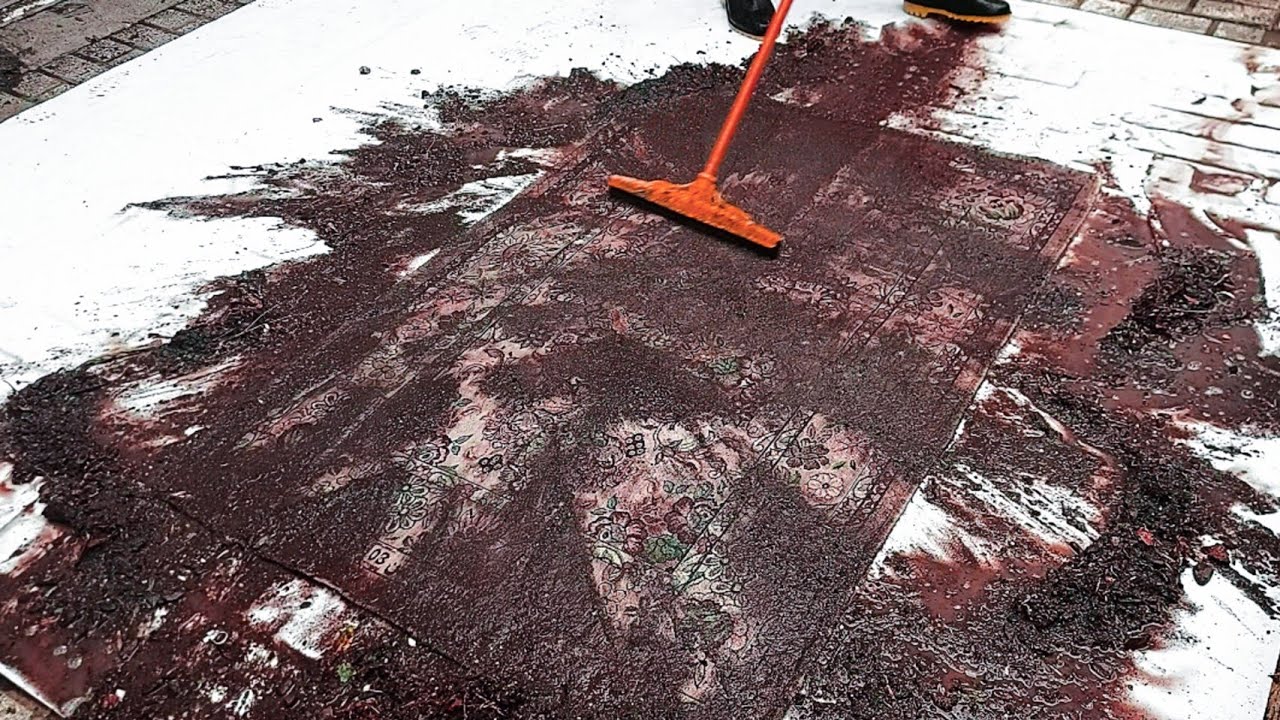 Sewer Overflow , incredible dirty rug cleaning satisfying | satisfying ...