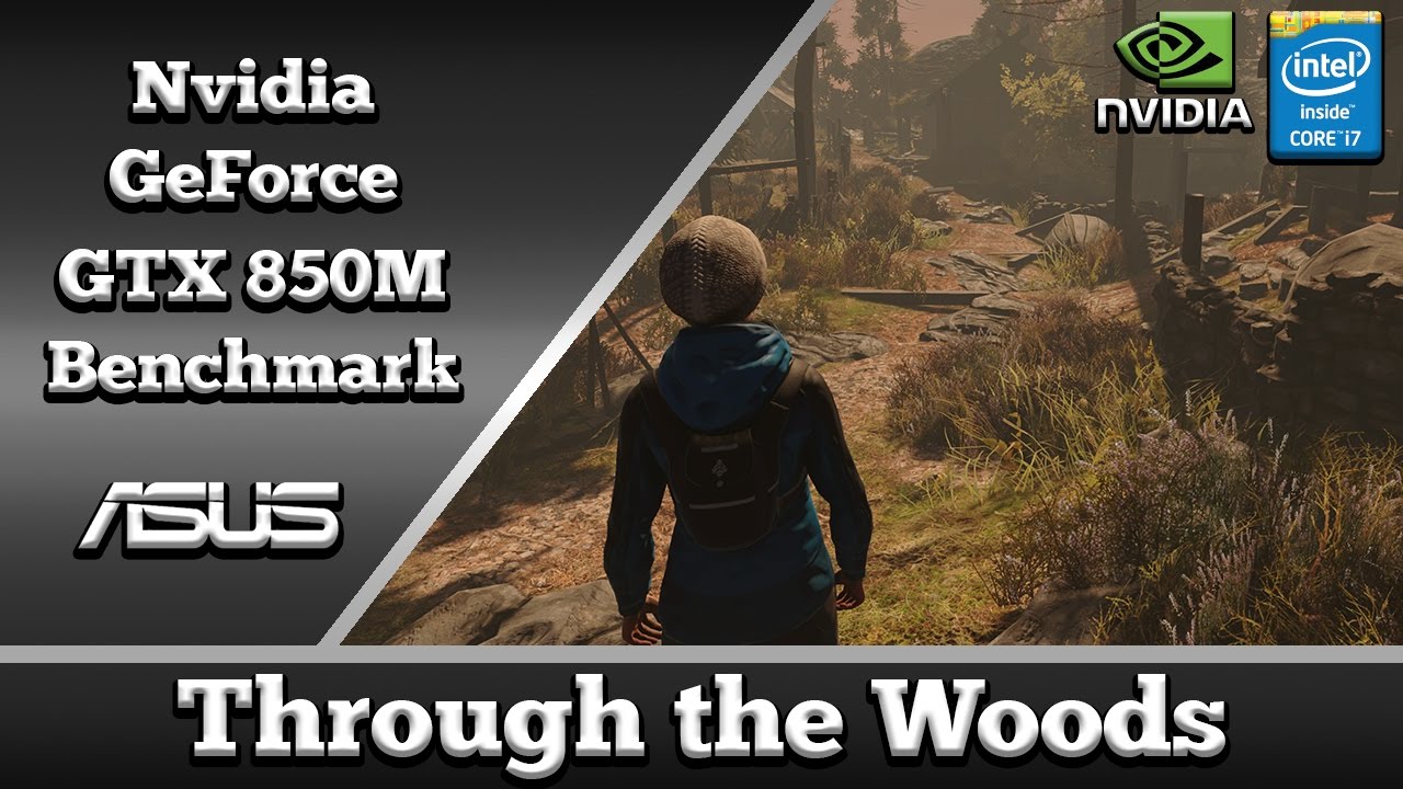 Through the Woods on Nvidia GeForce GTX 850M 2GB DDR3 (Asus N550JK ...
