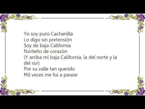 Vicente Fernández - Puro Cachanilla Lyrics - YouTube