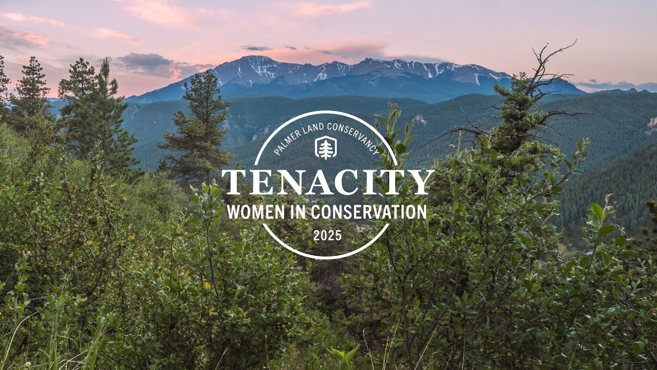 TENACITY: Women in Conservation Event Recording - YouTube