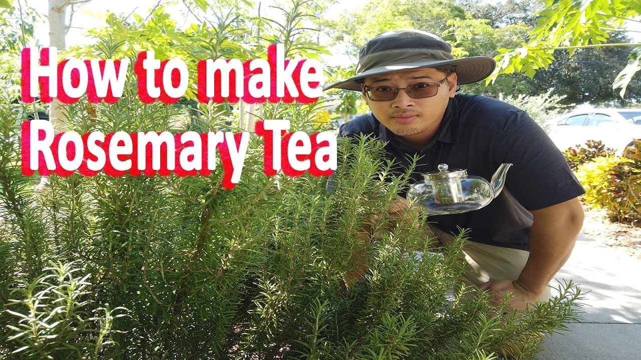 How to make Fresh Rosemary Tea - Rosemary benefits ( fresh sprigs ...