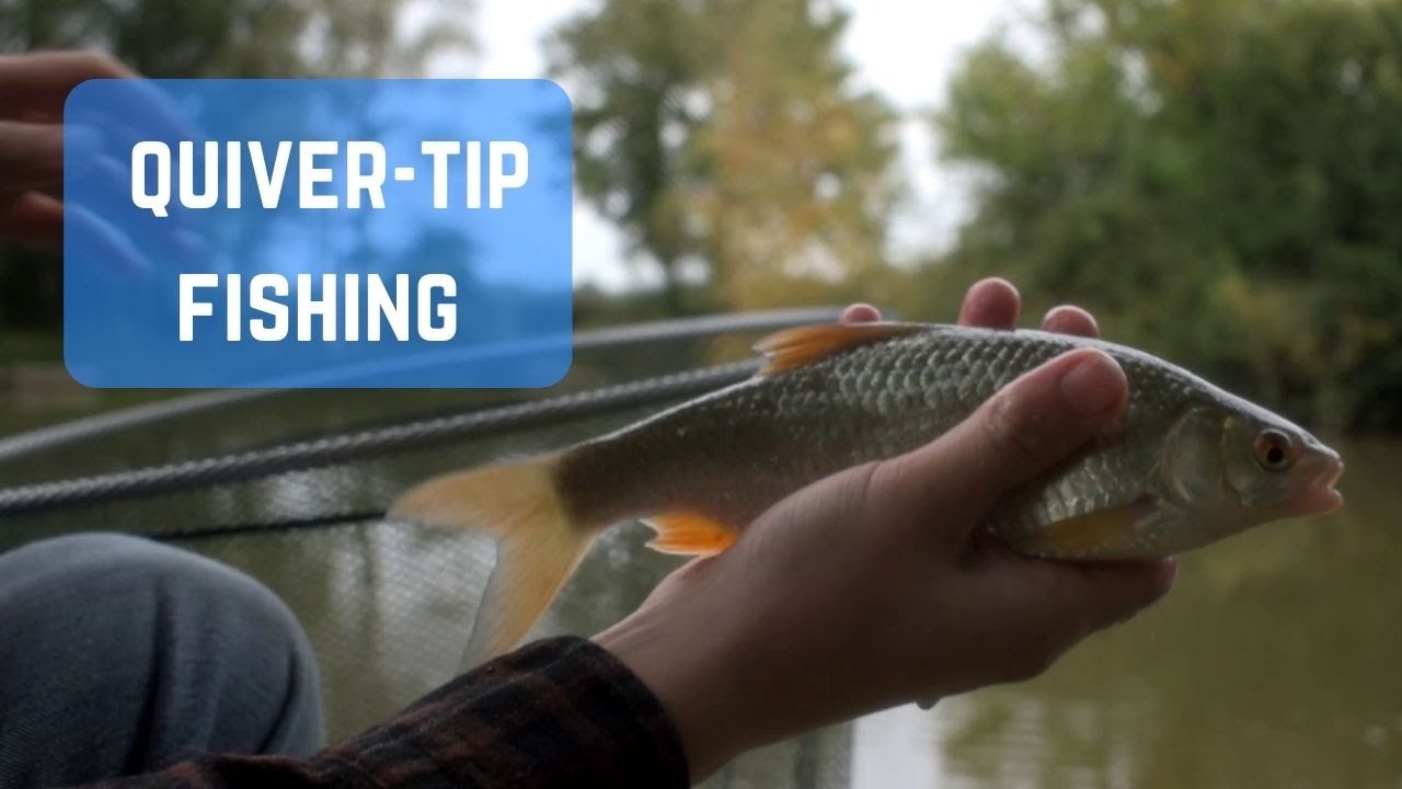 Quiver Tip fishing With Inline Feeder / Short October Afternoon Session ...