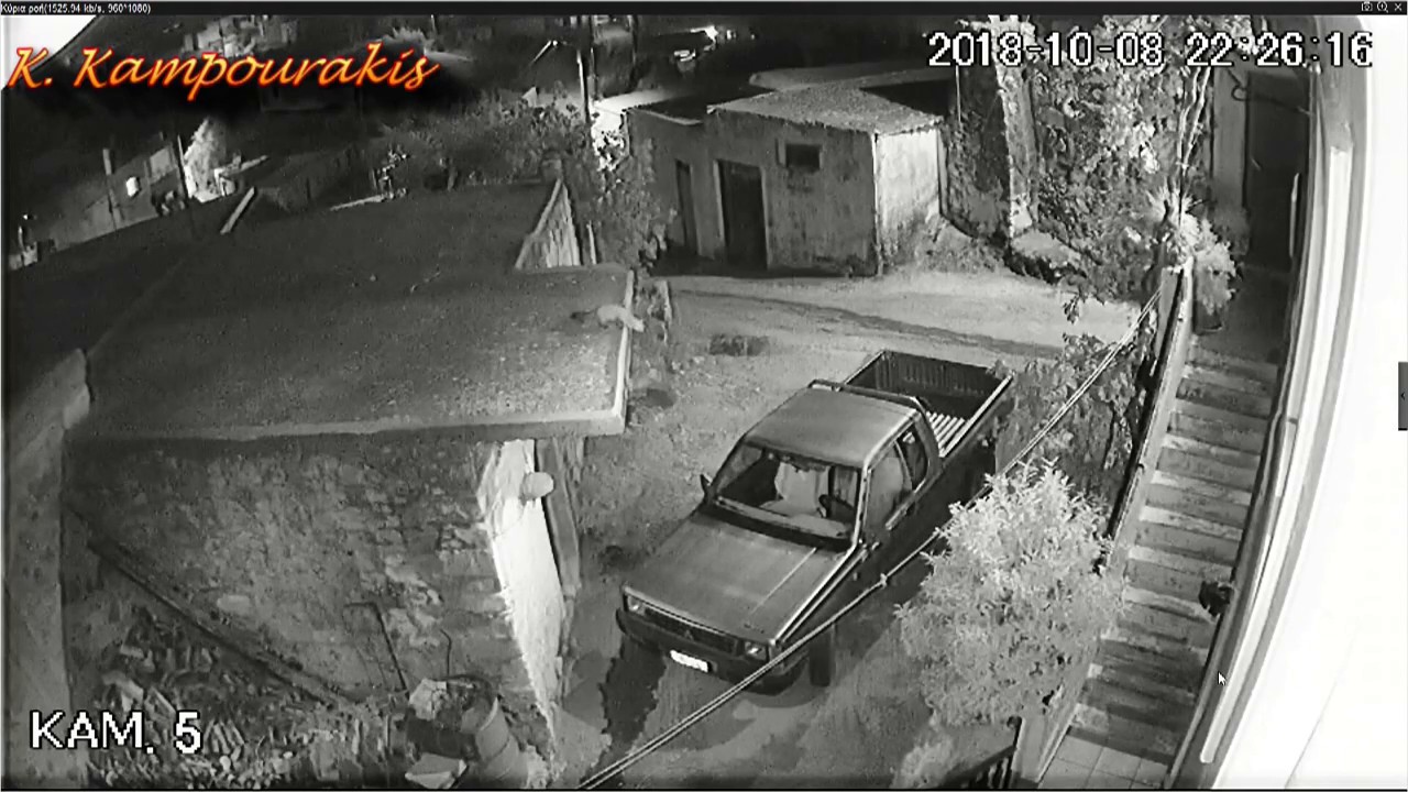 ΜΙΑ ΖΟΥΡΙΔΑ (ΚΟΥΝΑΒΙ) ΚΟΒΕΙ ΒΟΛΤΕΣ ΣΤΗΝ ΑΥΛΗ ΜΟΥ - YouTube