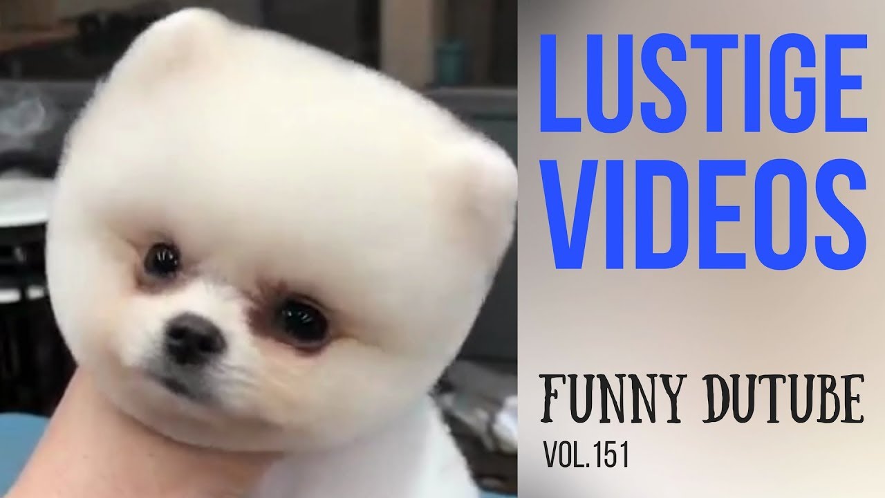 Lust zu Lachen? 😂 Lustige Videos 🤣 Lustig Compilation 2018! vol.151 😁 ...