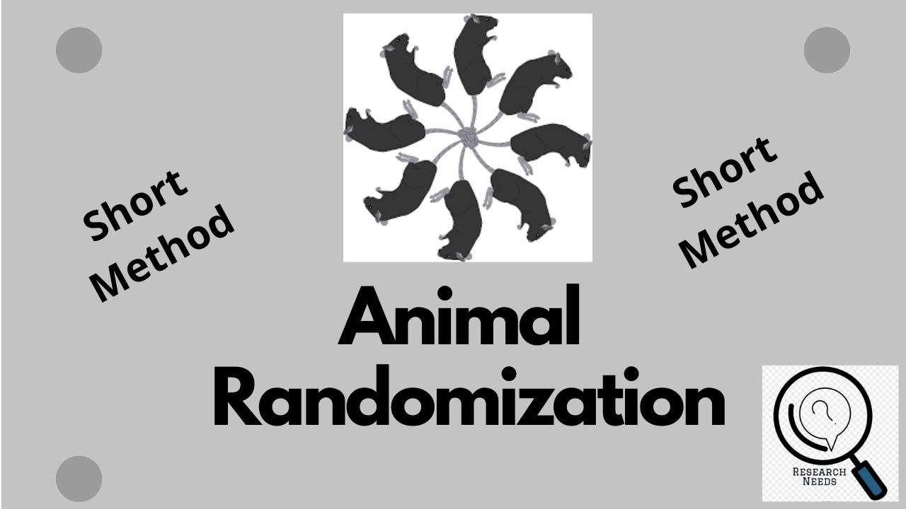 How to Randomize Animals in Preclinical Studies| Shortest Method - YouTube