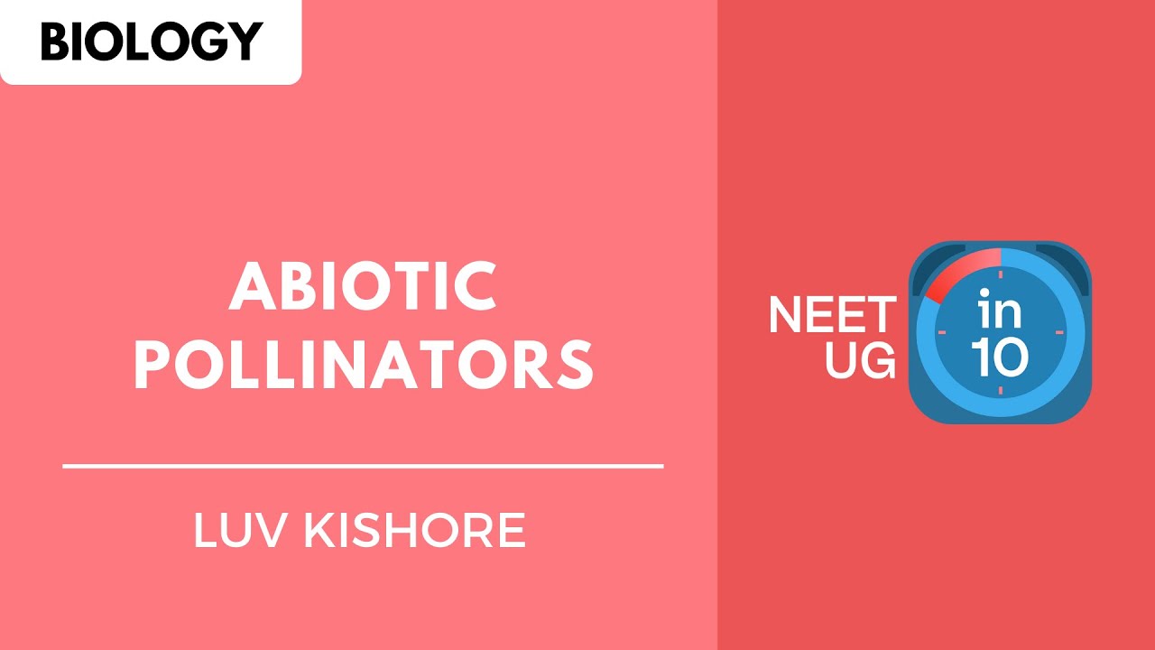 Abiotic Pollinators | NEET BIOLOGY | NEET UG in 10 - YouTube