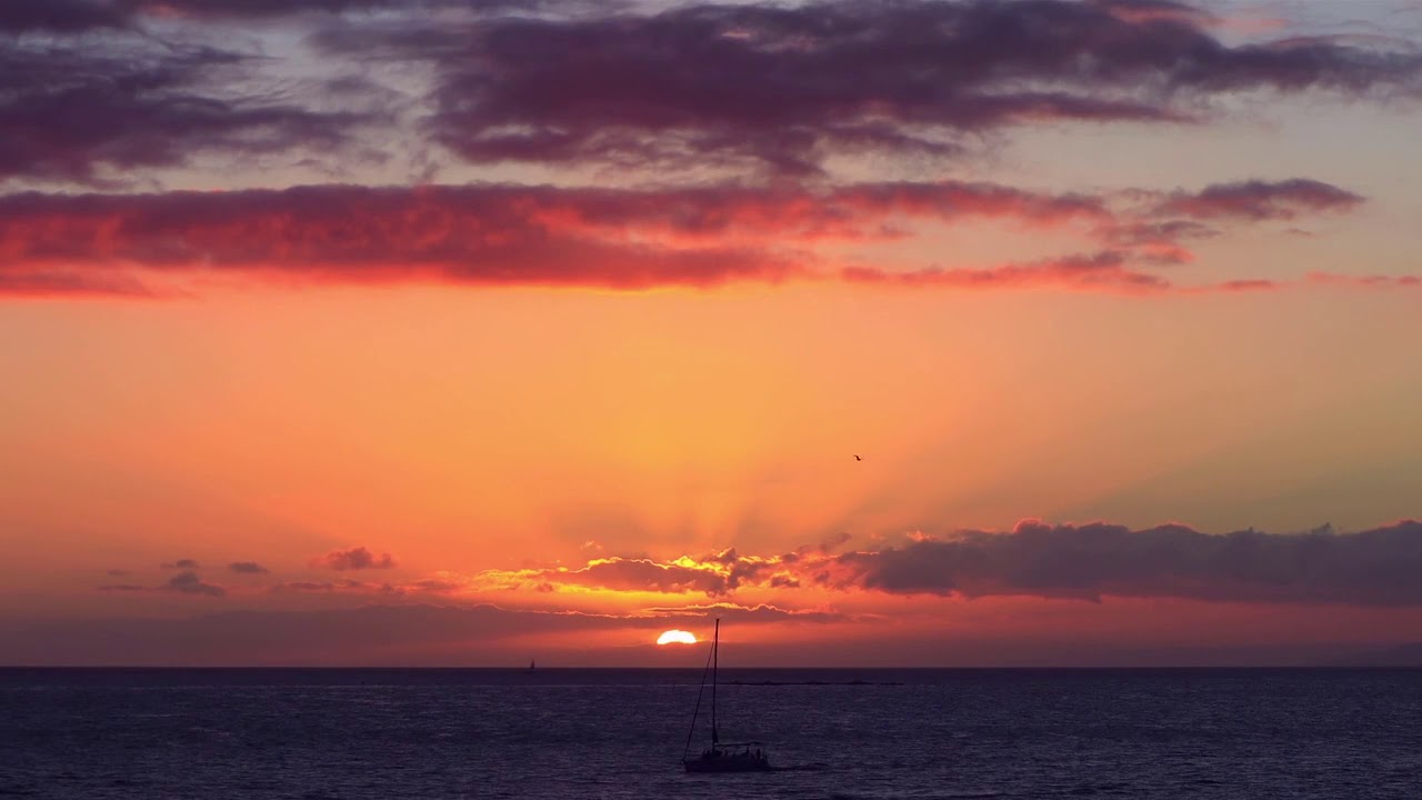 Copyright Free Videos Sunset boat ocean sea Motion Graphics Background ...