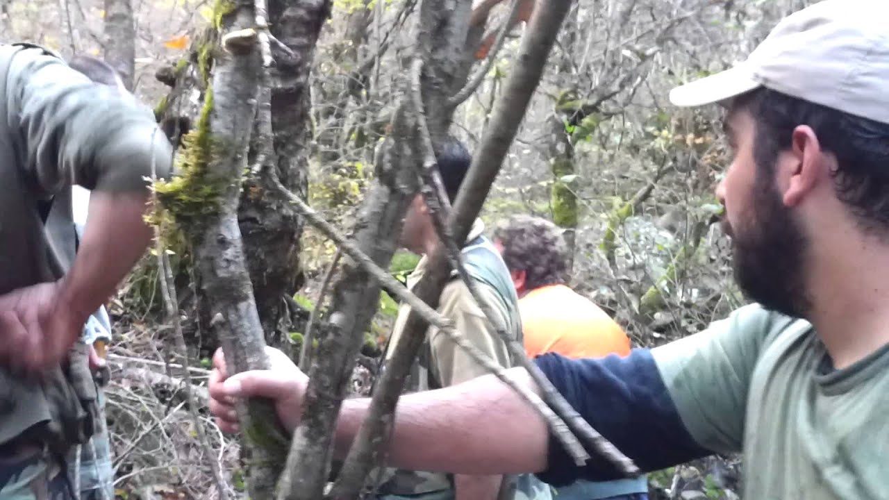 Κυνηγι αγριογουρουνου στην Ευρυτανια!! - YouTube