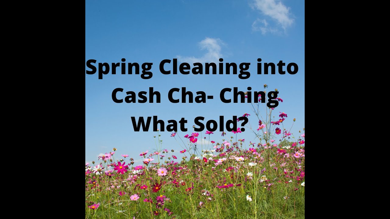 Springtime Cleaning Turns Into Cash! What Sold? #Shorts - YouTube