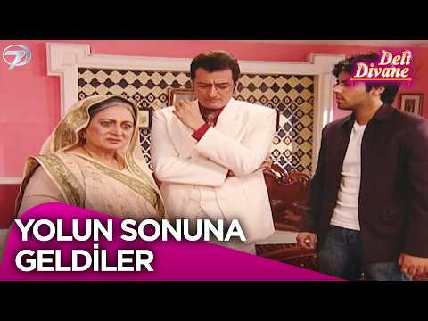 Yıllar Sonra Büyük Hesaplaşma | Deli Divane 245. Bölüm