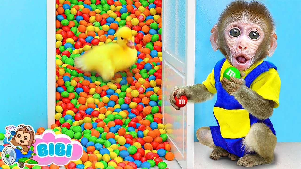 Monkey Bibi Buy Rainbow Candy In The Supermarket And Go Picnic With ...
