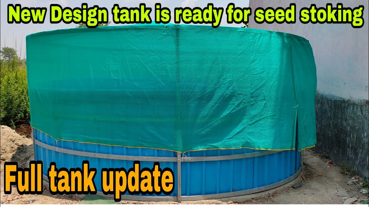 Biofloc new design tank is ready for seed stoking. Biofloc tank full ...