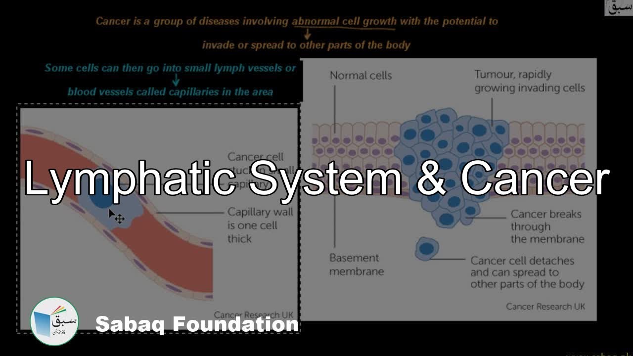 Lymphatic System & Cancer, Biology Lecture | Sabaq.pk - YouTube