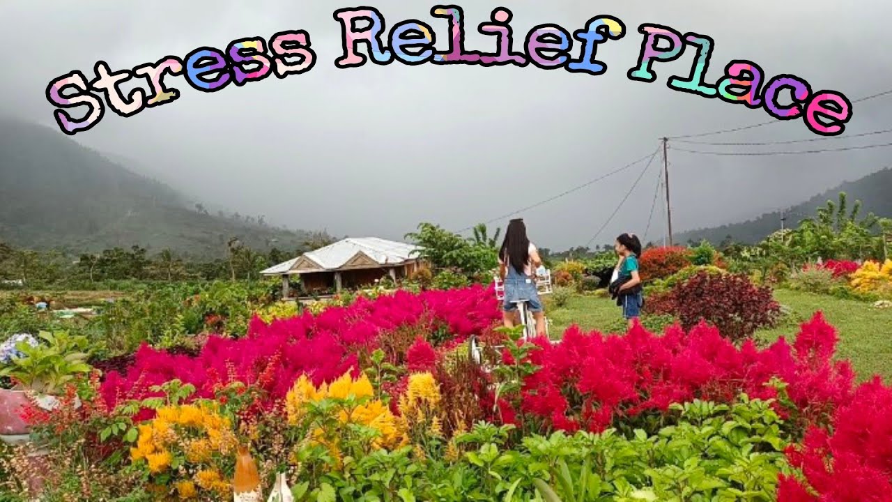 Family Bonding in a Stress Relief Place - YouTube