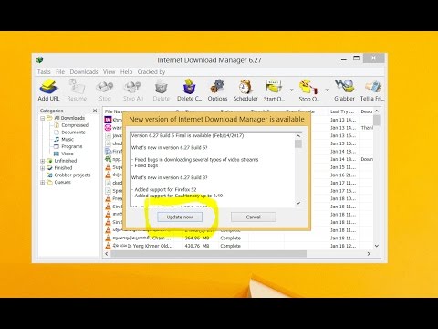 disable idm update - YouTube