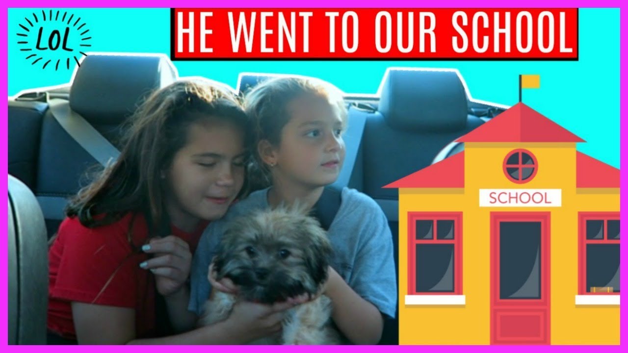 WE TOOK OUR PUPPY TO OUR SCHOOL #67 - YouTube