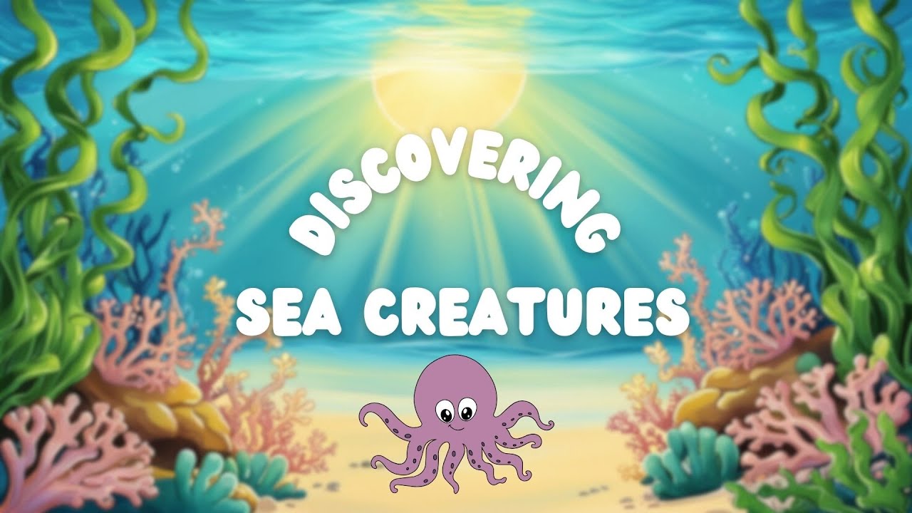 Discovering Sea Creatures | Fun Facts for Kids - YouTube