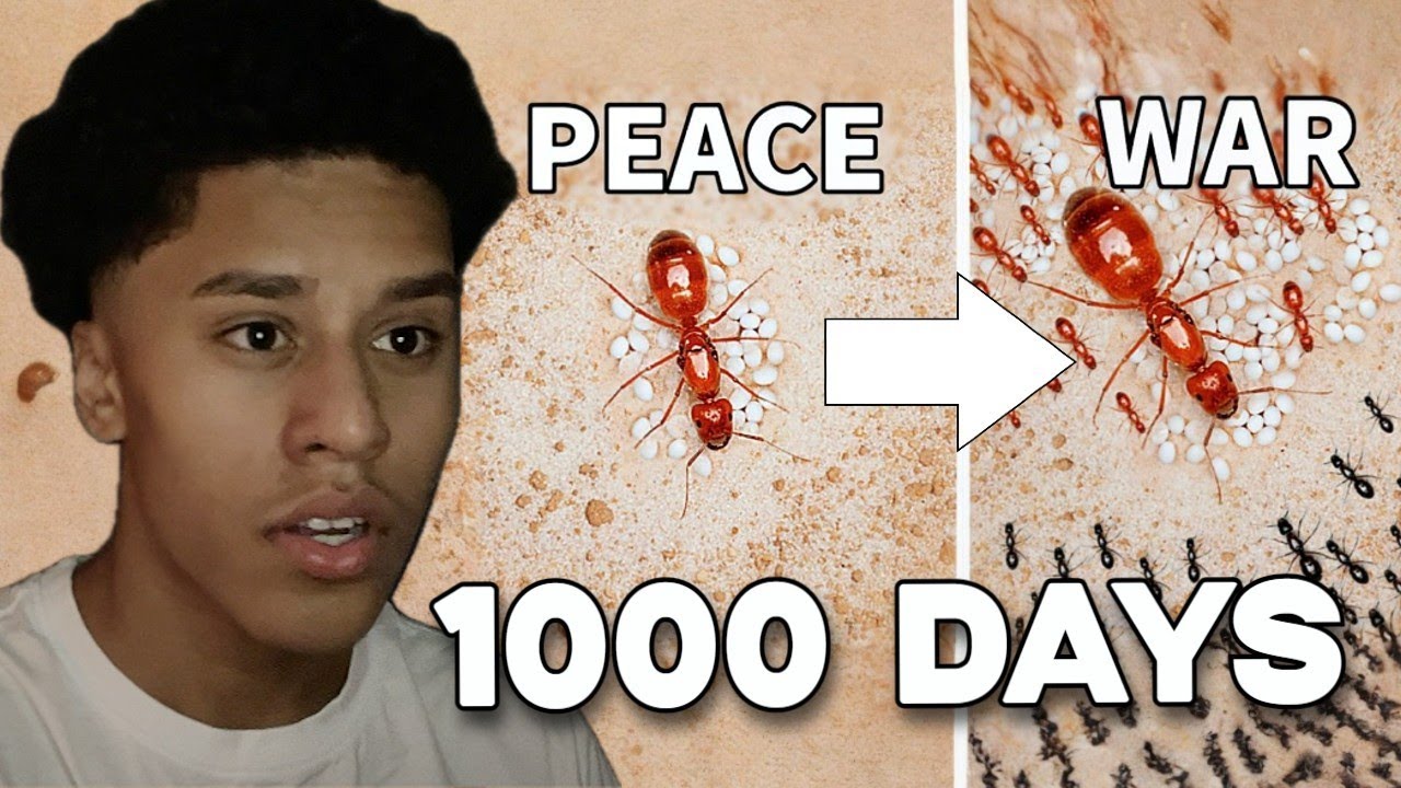 Simulating an Ant Colony for 1000 Days - YouTube