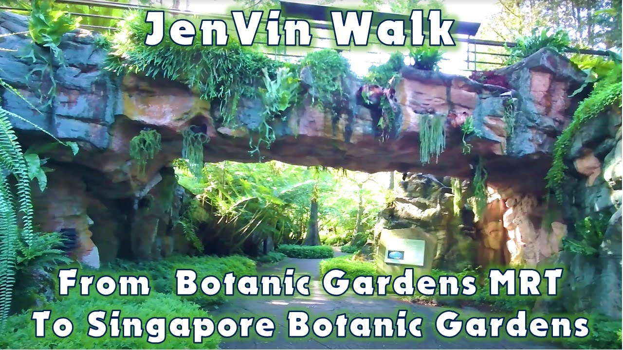 [4K] Walking from Botanic Gardens MRT to Singapore Botanic Gardens ...
