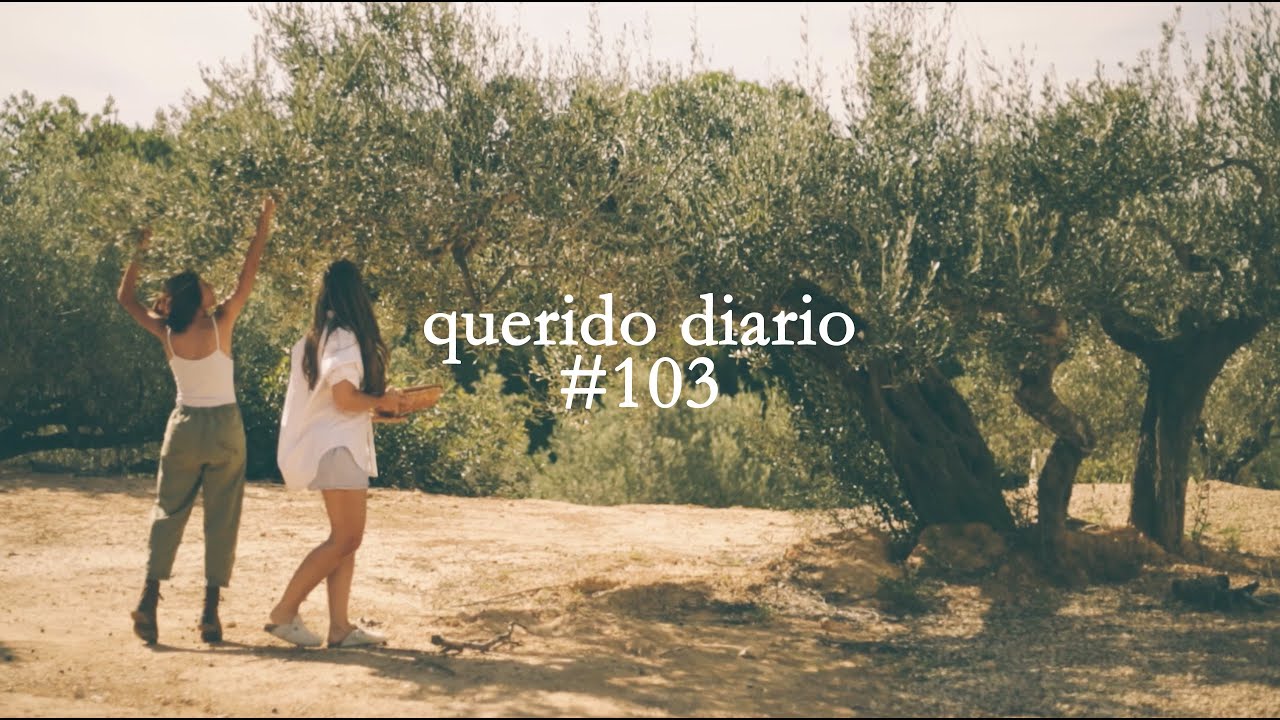 Querido Diario #103 - El tempo - Hacemos olivas, concurso de panellets y kombucha feat ...