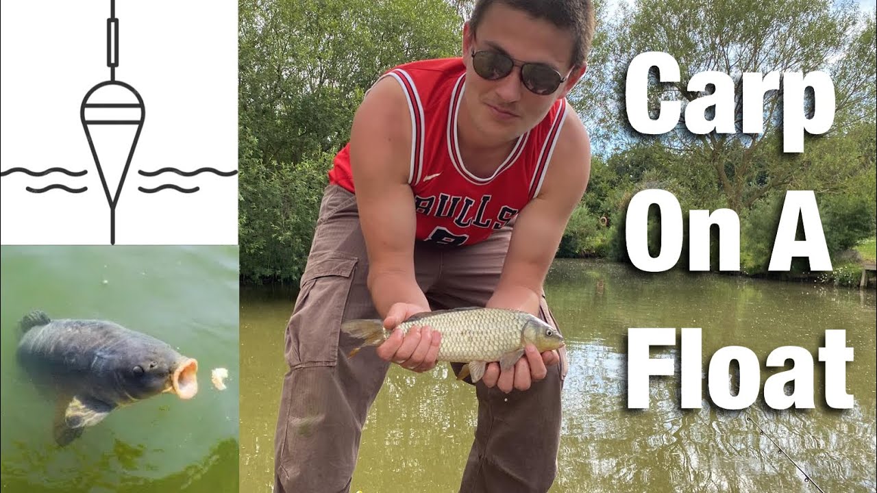 How to catch carp on a float 🎣 beginners guide to float fishing - YouTube