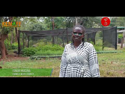 KENAFF  DOCUMENTARY
